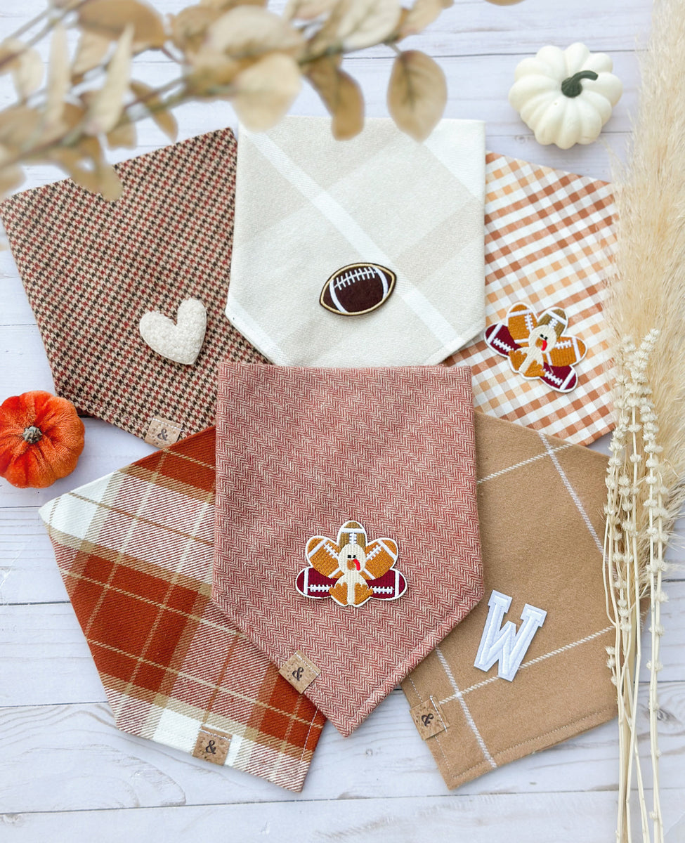 shop fall 2023 collection – & Mutts Co.