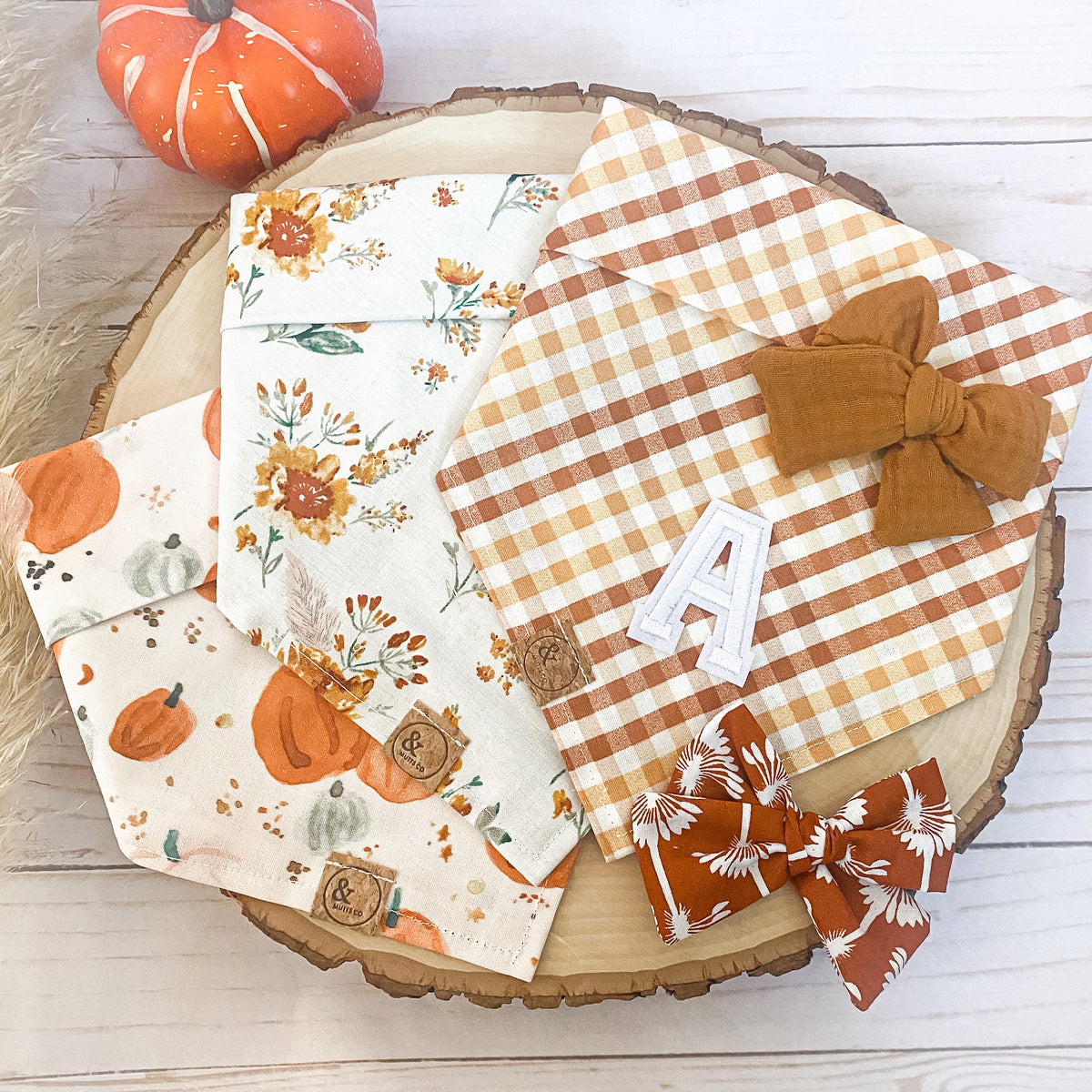 shop fall 2022 collection – & Mutts Co.